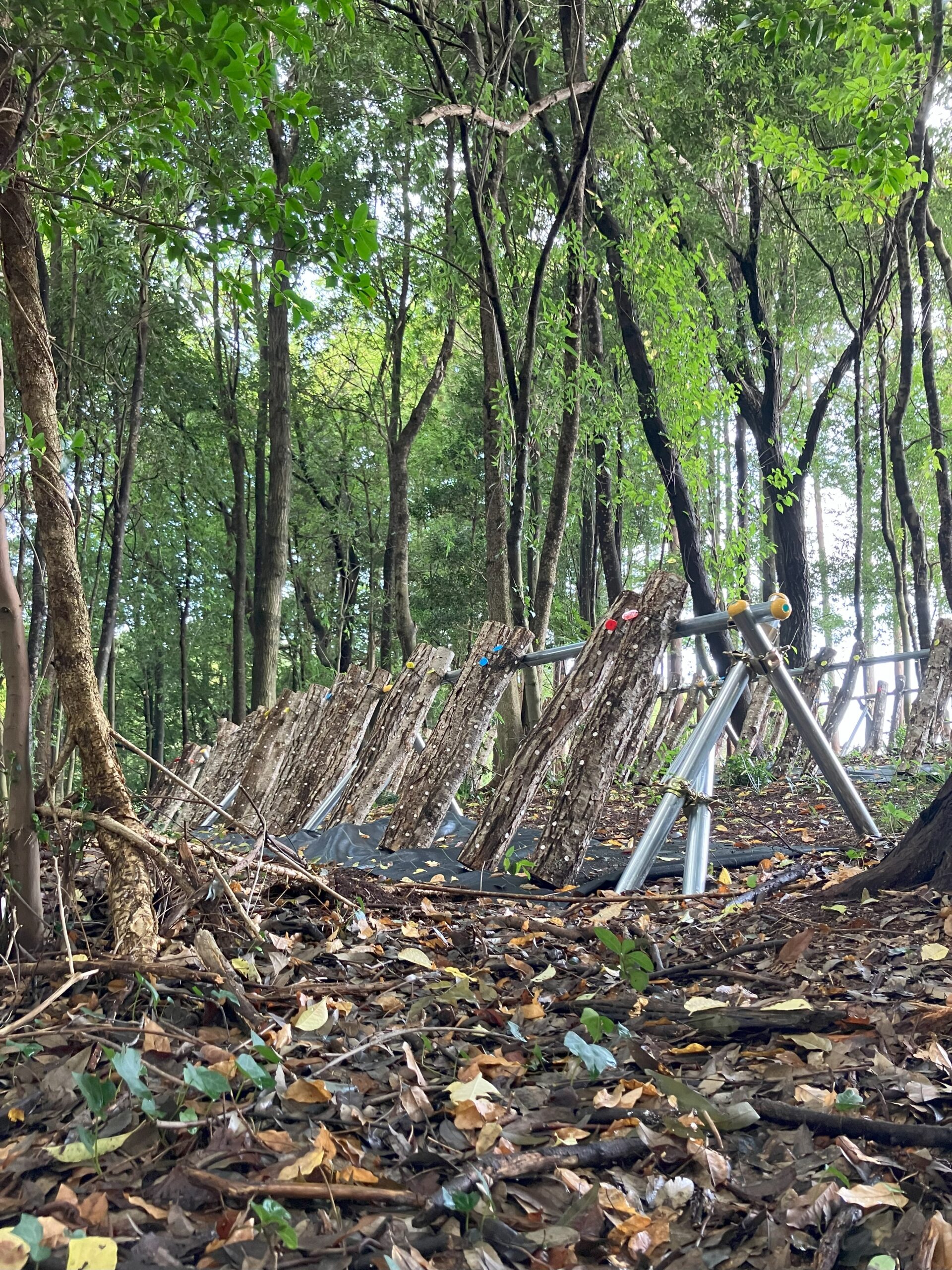 FARMER'S BASE TSUKUBA